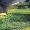 Hominy Chop | Livestock and Cattle For Sale
